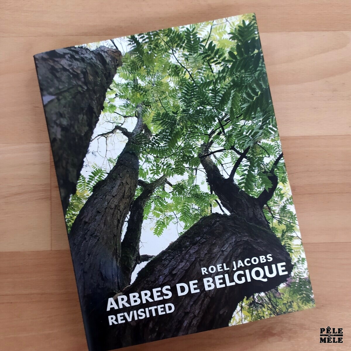 Roel Jacobs "Arbres de Belgique Revisited" (BAI, 2009) - Pêle-Mêle Online