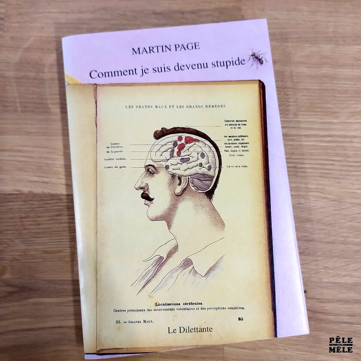 Martin Page "Comment je suis devenu Stupide" (LE DILETTANTE, 2000) - Pêle-Mêle Online