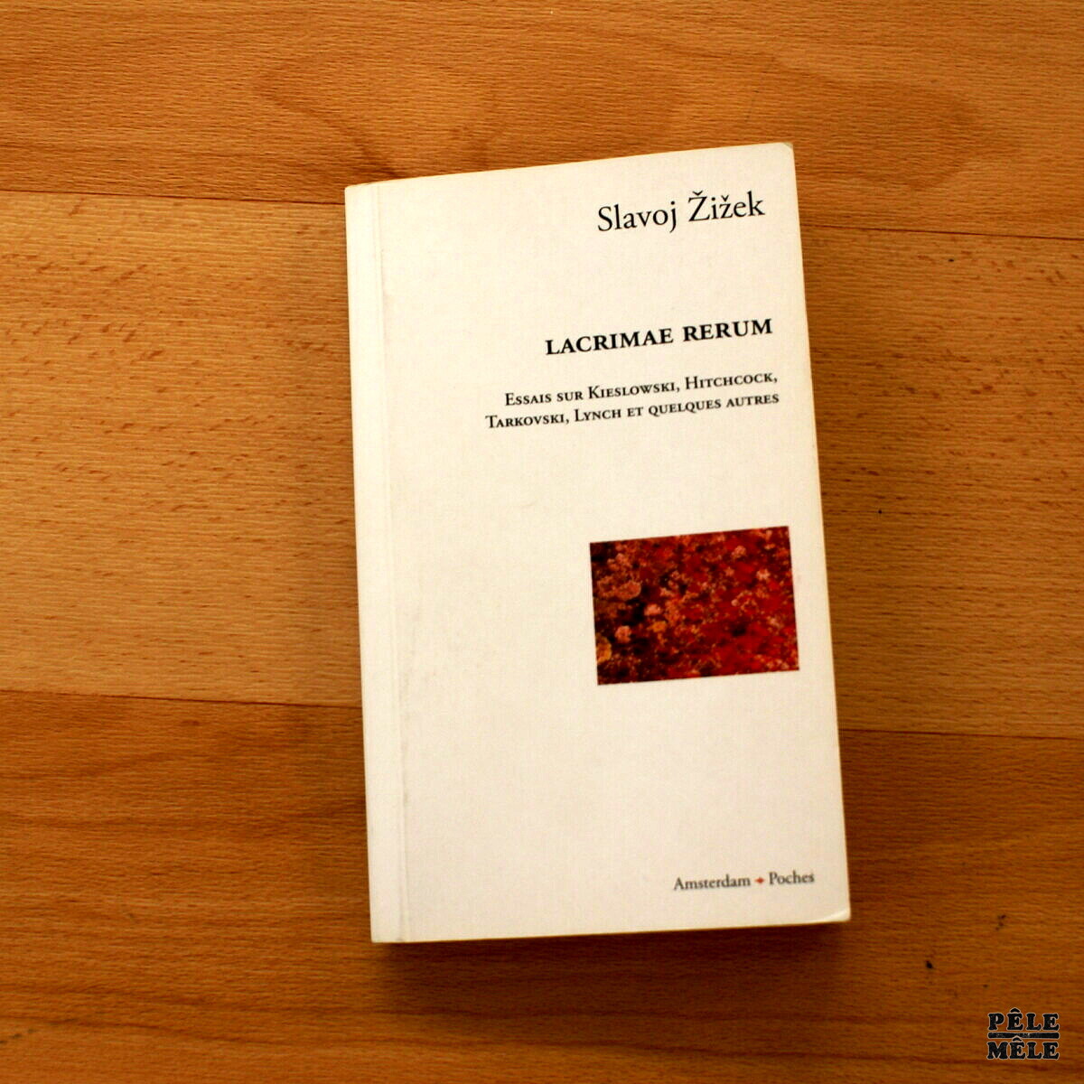 "Lacrimae Rerum" - Slavoj Zizek - Pêle-Mêle Online