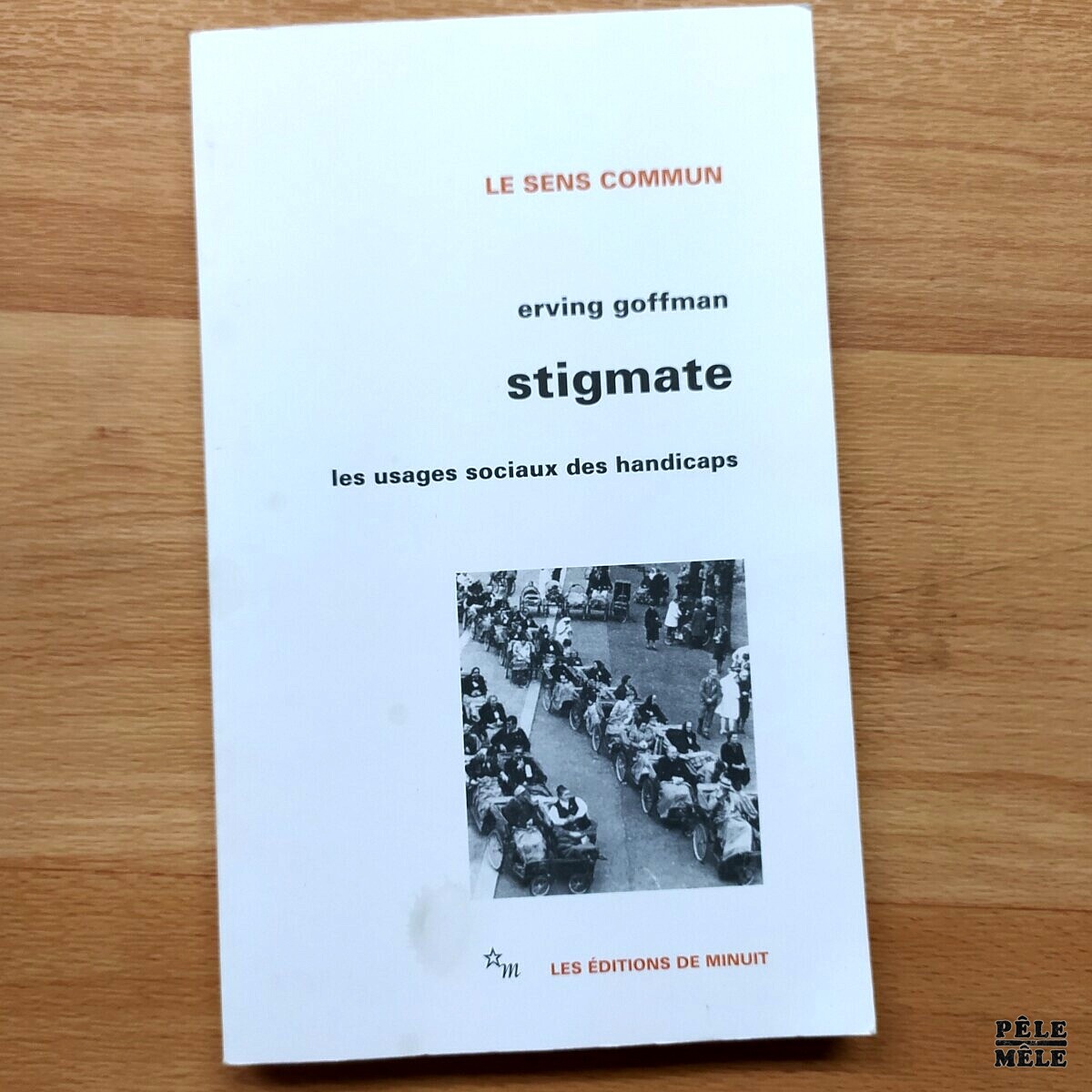 Erving Goffman "Stigmate : les usages sociaux des handicaps" (LE SENS ...