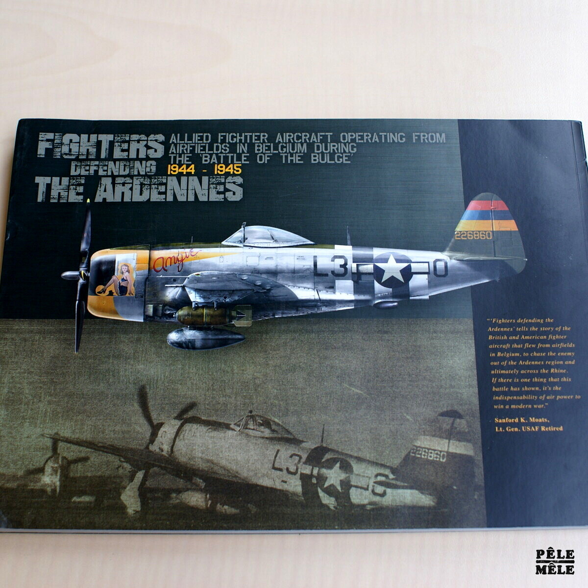 "Fighters defending the Ardennes" - Editeur Peter Celis - Pêle-Mêle Online