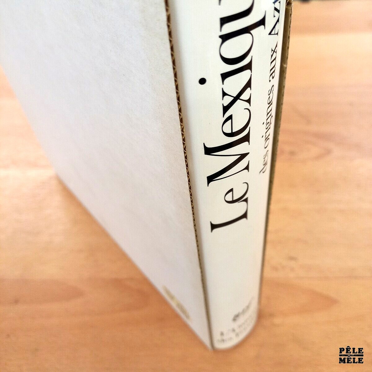 "Le Mexique, des origines aux Aztèques" - L'Univers des formes - Pêle-Mêle Online