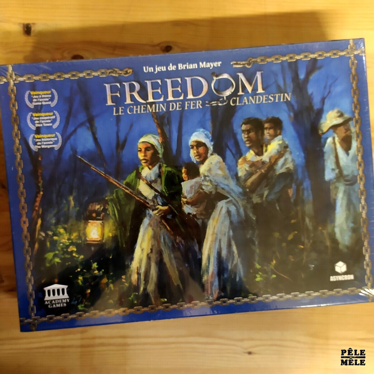 Brian Mayer "Freedom, le Chemin de Fer Clandestin" (ASYNCRON) - Pêle ...