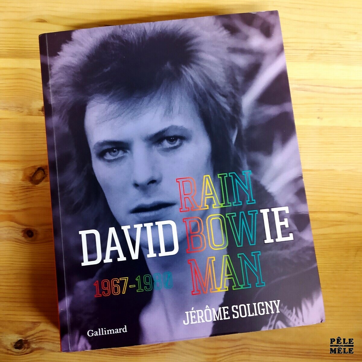 Jérôme Soligny "David Bowie Rainbow Man 1967-1980" (GALLIMARD) - Pêle ...