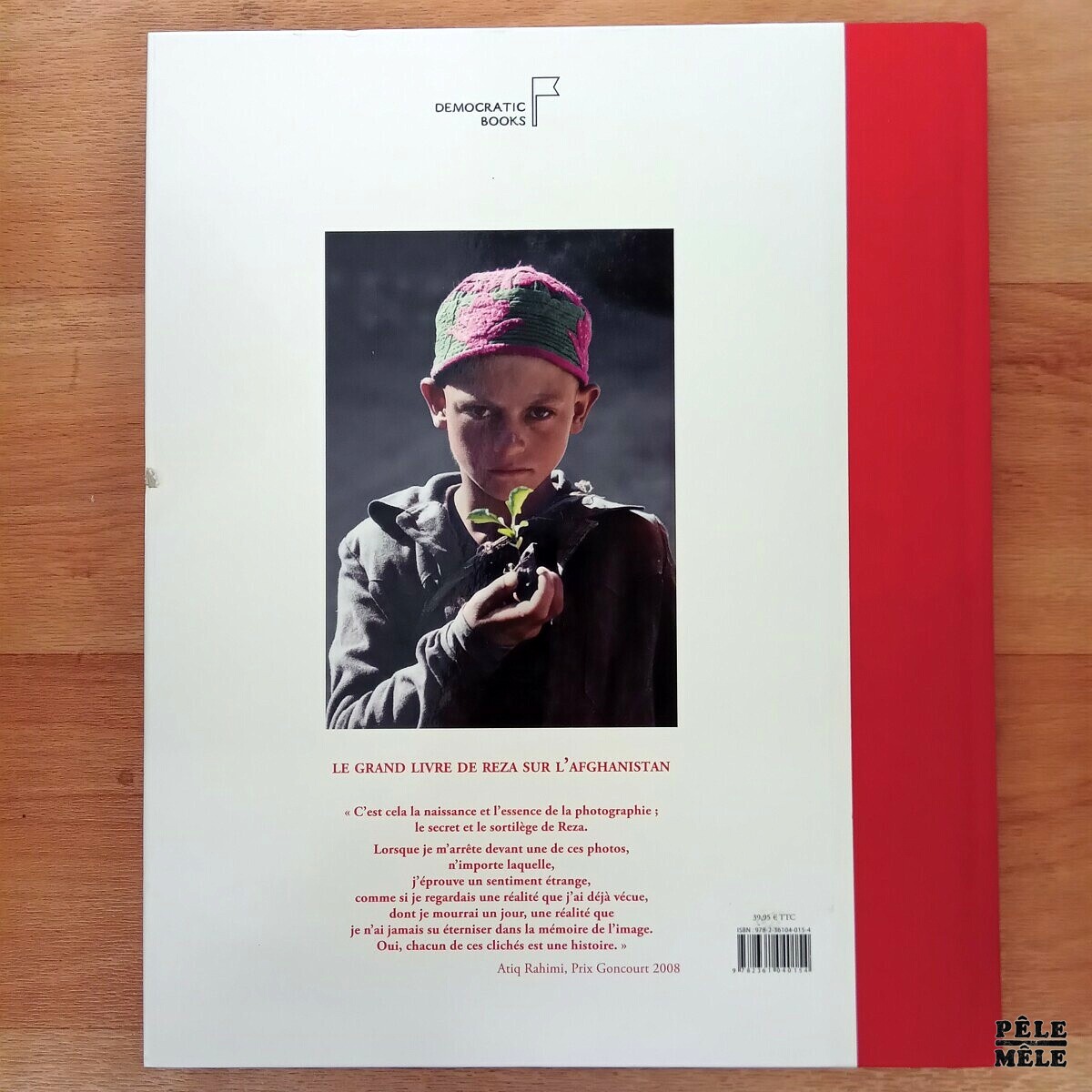 "Les Âmes Rebelles" - Reza & Atiq Rahimi (Democratic Books) - Pêle-Mêle ...