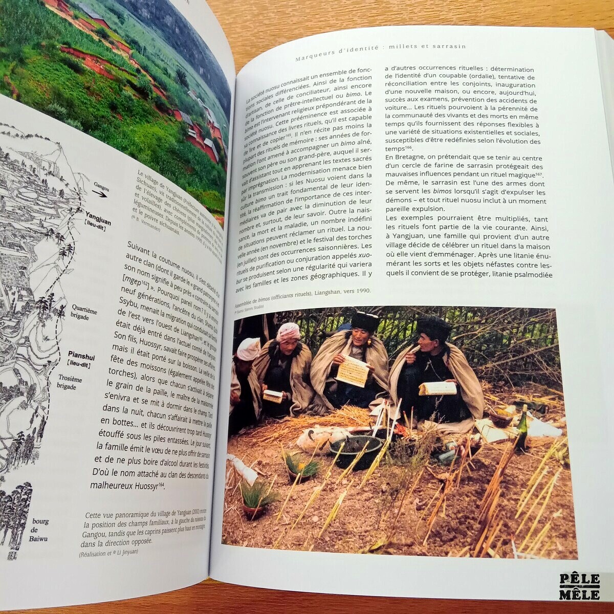 "L'homme et le grain, une histoire céréalière des civilisations ...