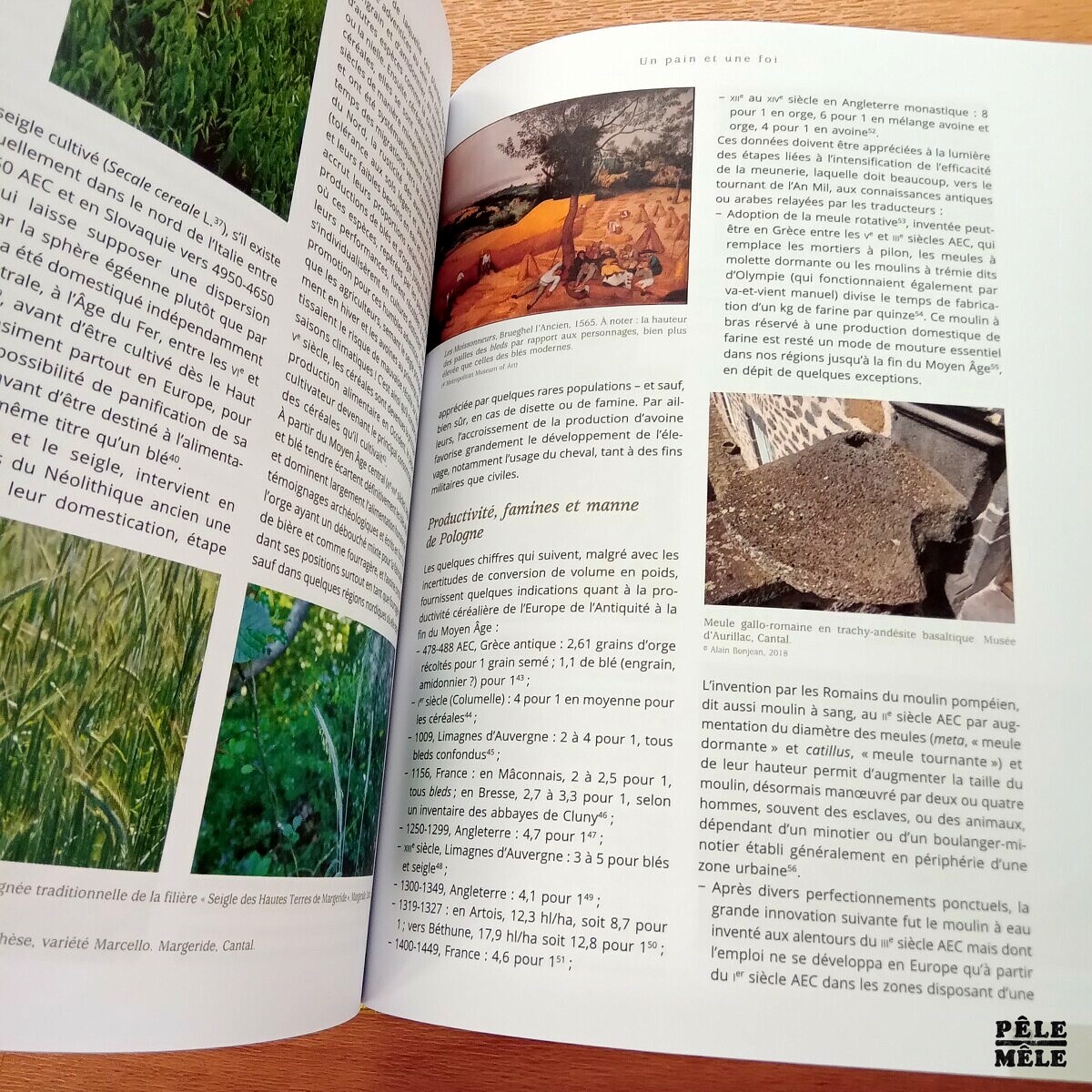 "L'homme et le grain, une histoire céréalière des civilisations ...