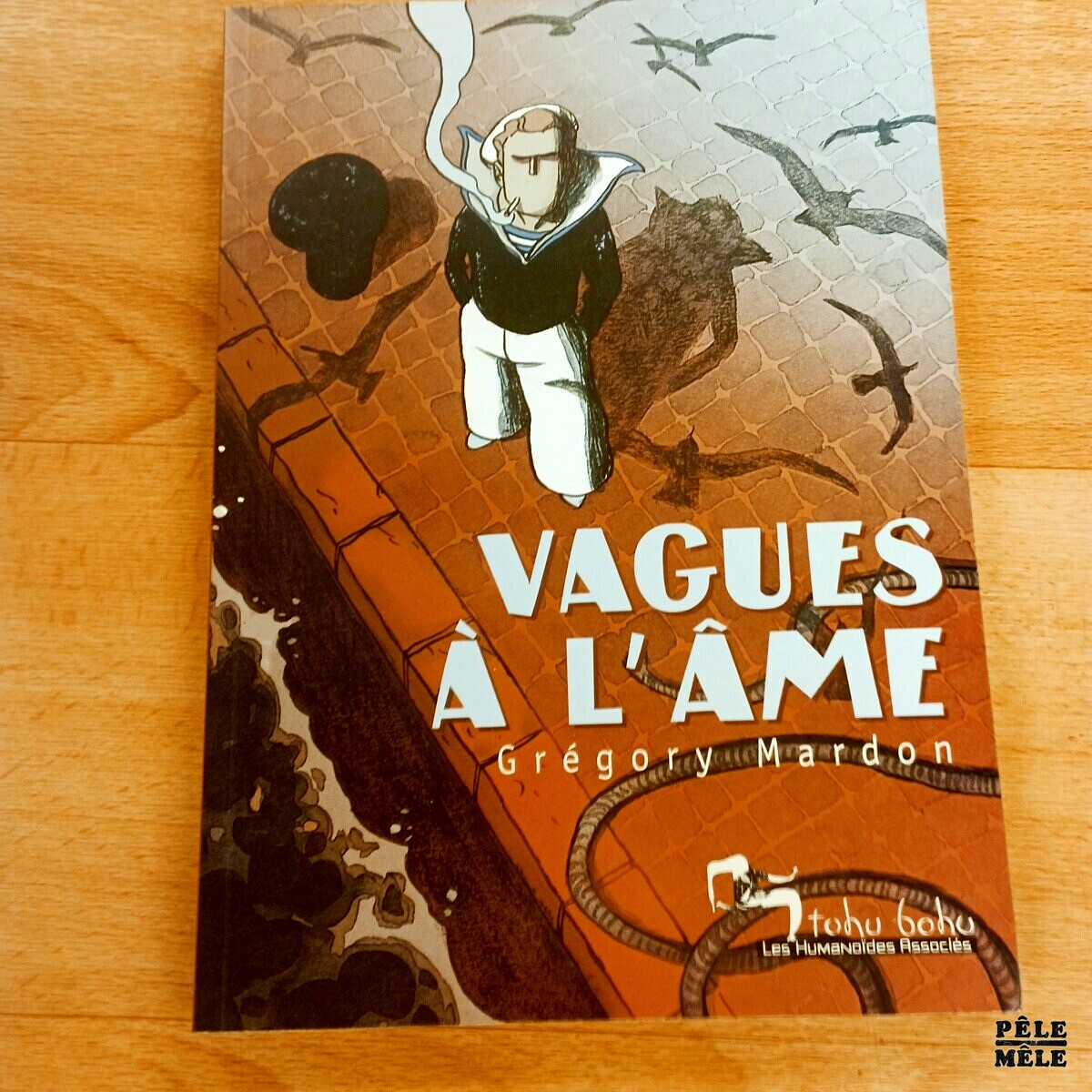 "Vagues à l'âme" - Gregory Mardon - Pêle-Mêle Online
