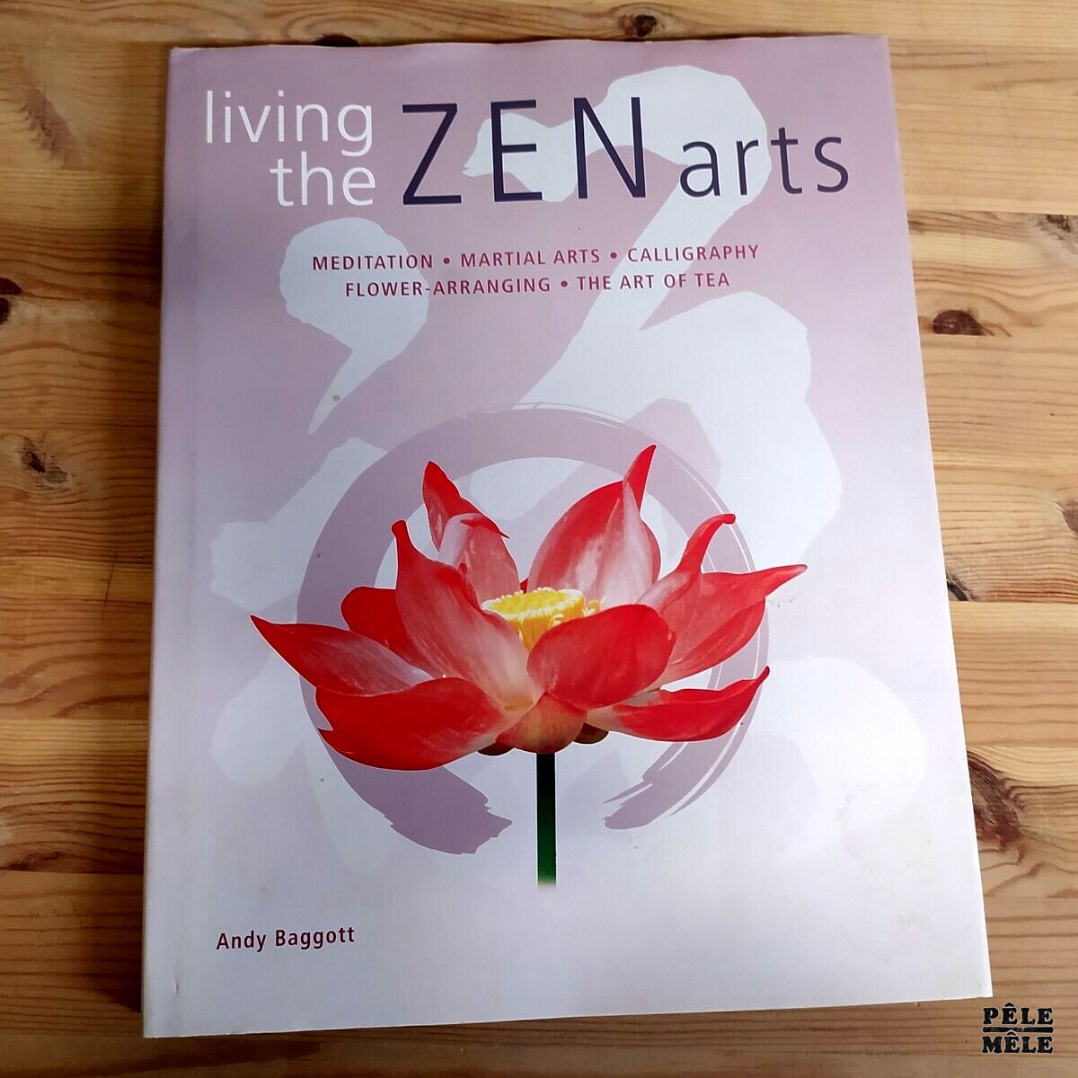 Andy Baggott "Living the Zen Arts" (GODSFIELD) - Pêle-Mêle Online