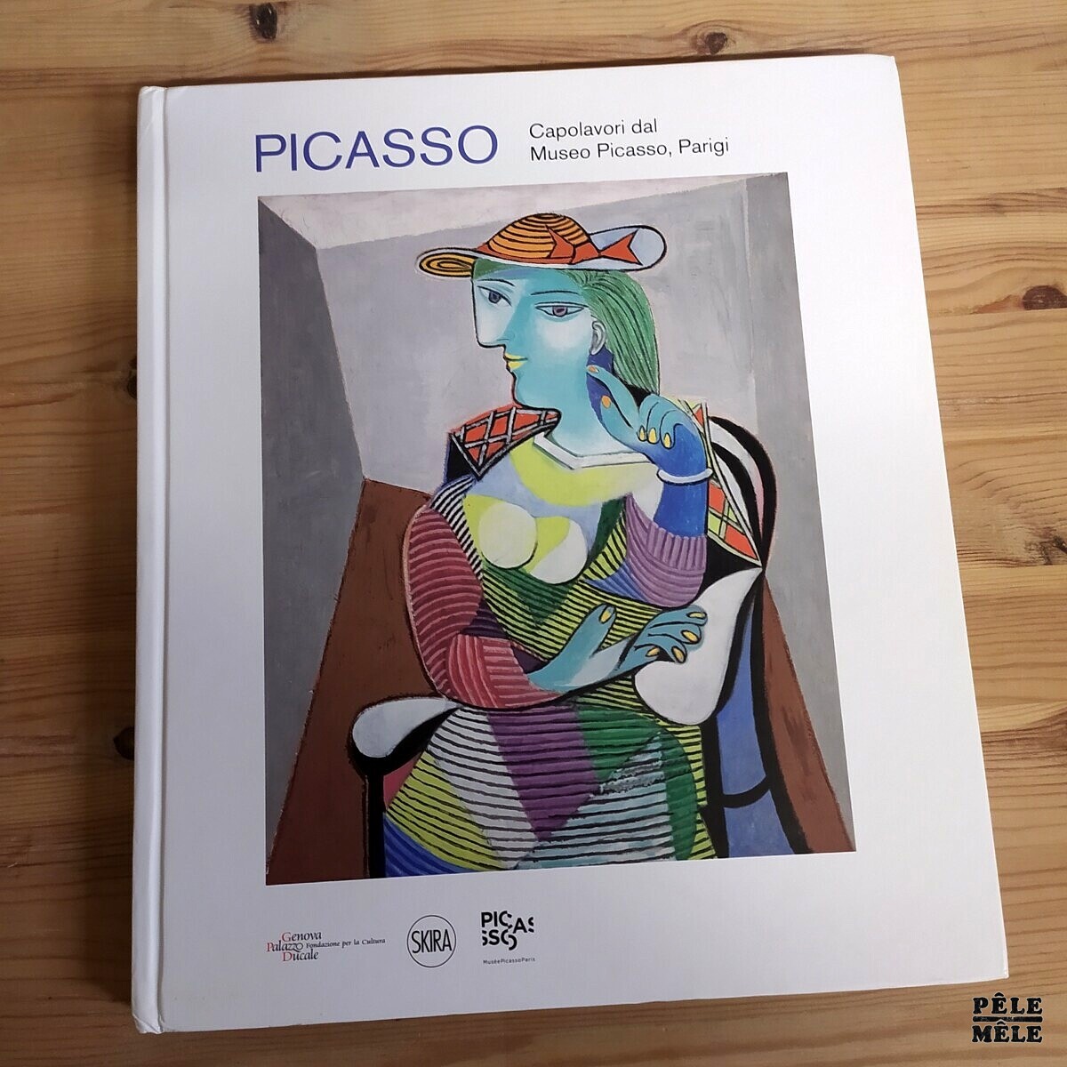 Coline Zellal "Picasso, Capolavori dal Museo Picasso, Parigi" (SKIRA ...