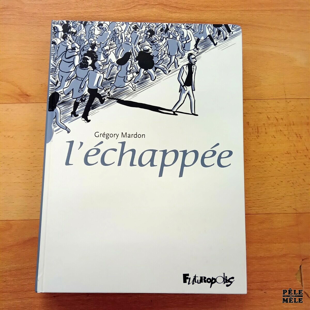 "L'échappée" - Grégory Mardon - Pêle-Mêle Online