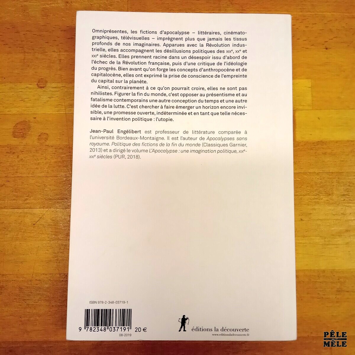 "Fabuler la fin du monde, la puissance critique des fictions d ...