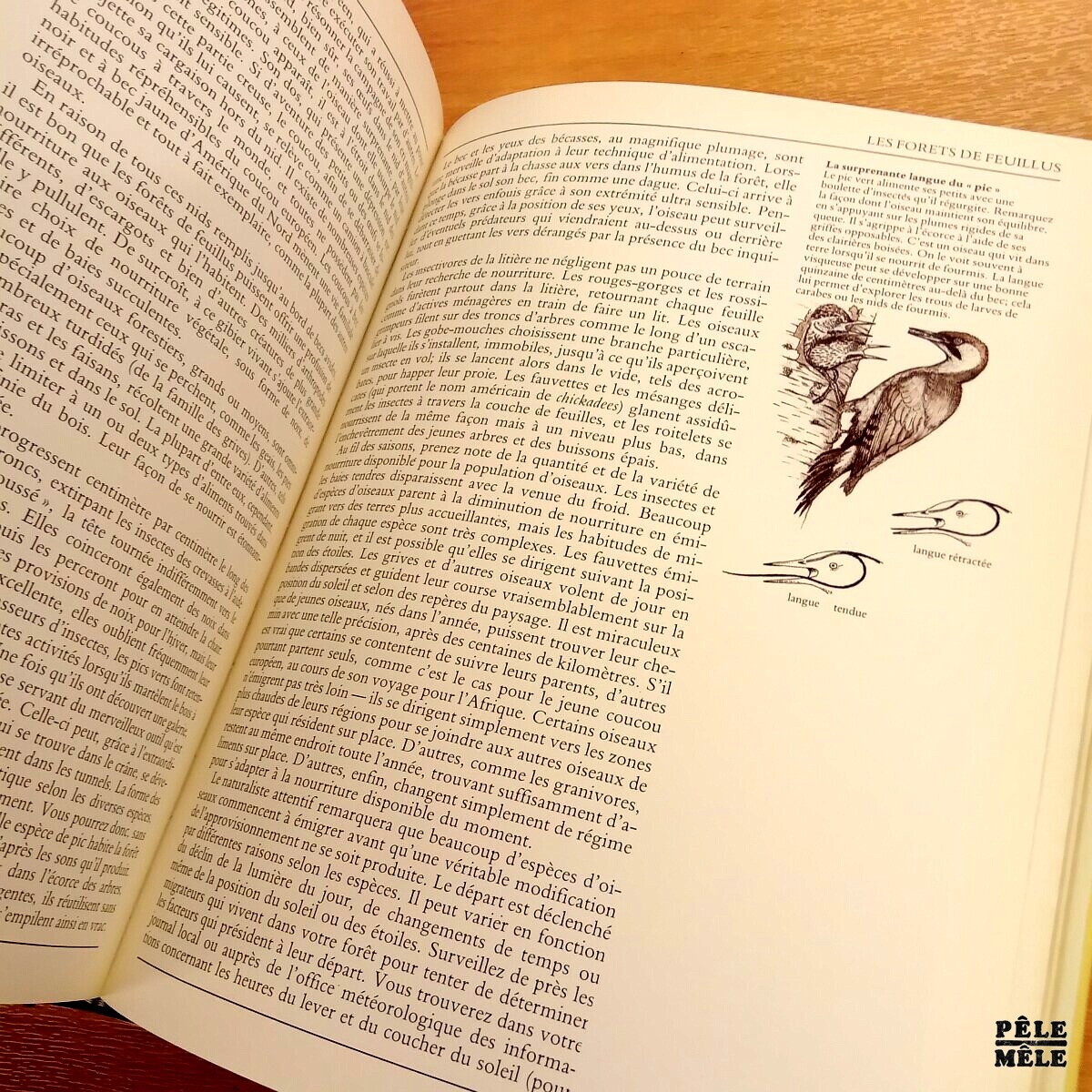 "Le naturaliste en campagne" - Gérald Durrell / Lee Durrell - Pêle-Mêle ...