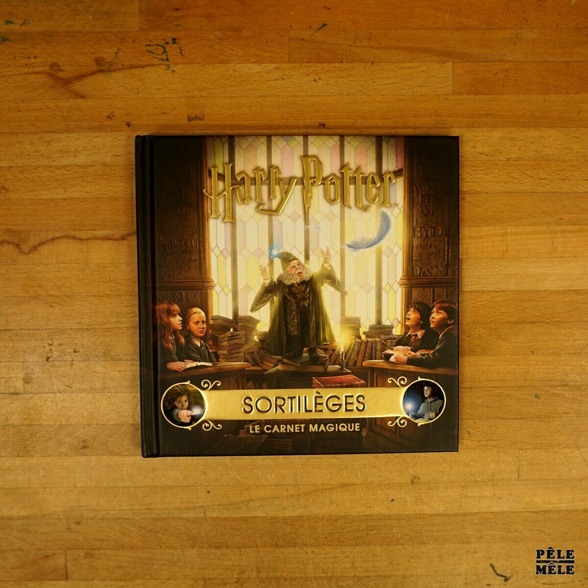 Harry Potter - Sortilèges : Le carnet magique - Jody Revenson - Pêle ...