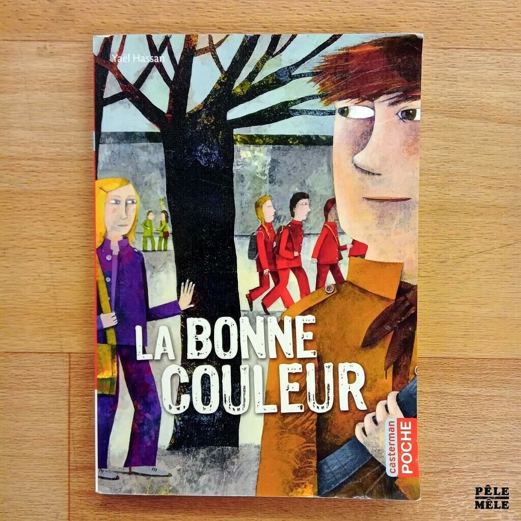 "La bonne couleur" - Yaël Hassan (Casterman) - Pêle-Mêle Online