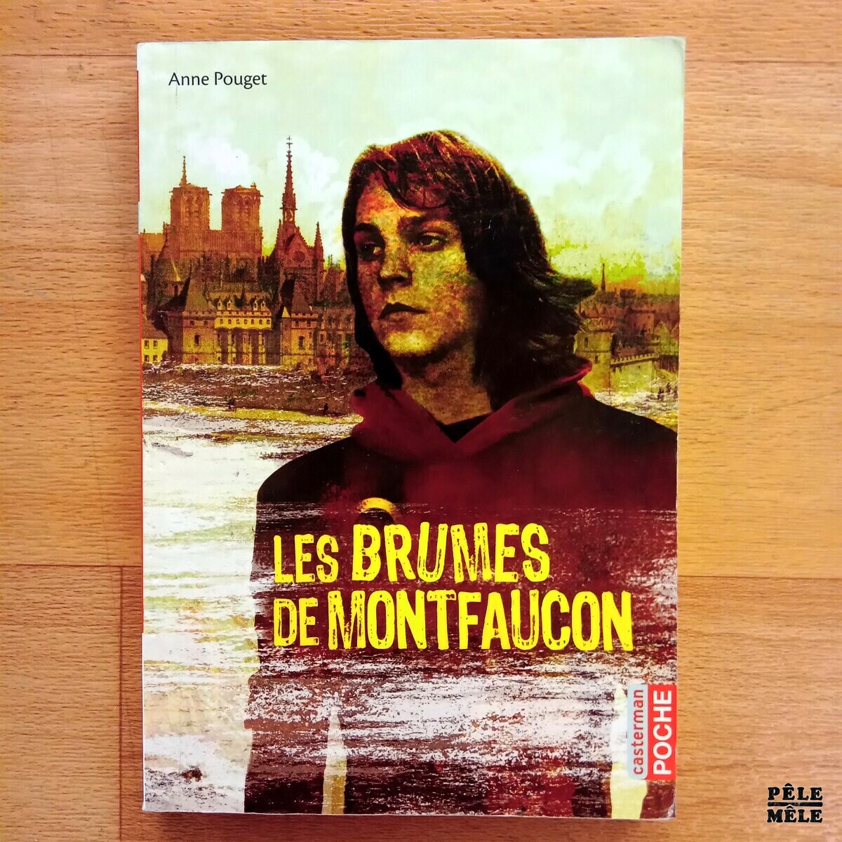 "Les brumes de Montfaucon" - Anne Pouget (Casterman) - Pêle-Mêle Online