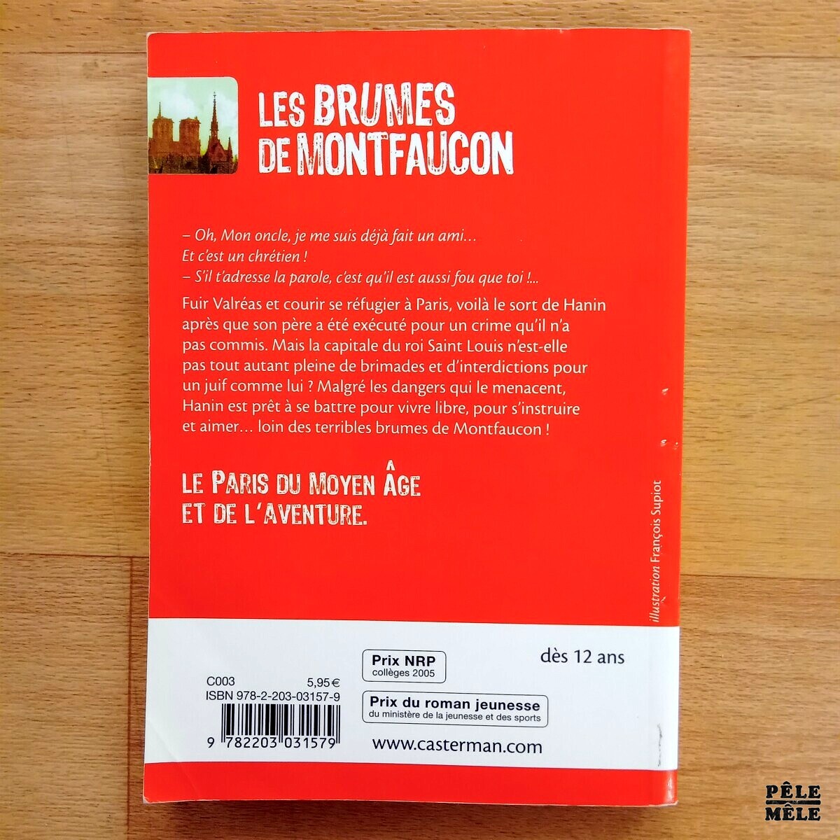 "Les brumes de Montfaucon" - Anne Pouget (Casterman) - Pêle-Mêle Online