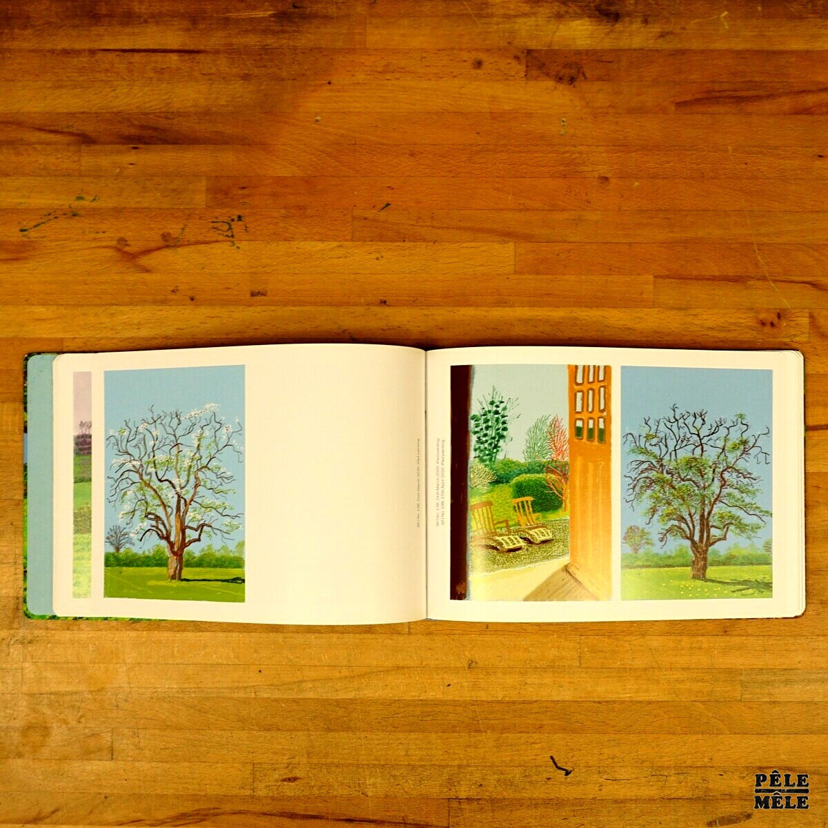 David Hockney - The Arrival of Spring, Normandy, 2020 - William Boyd ...