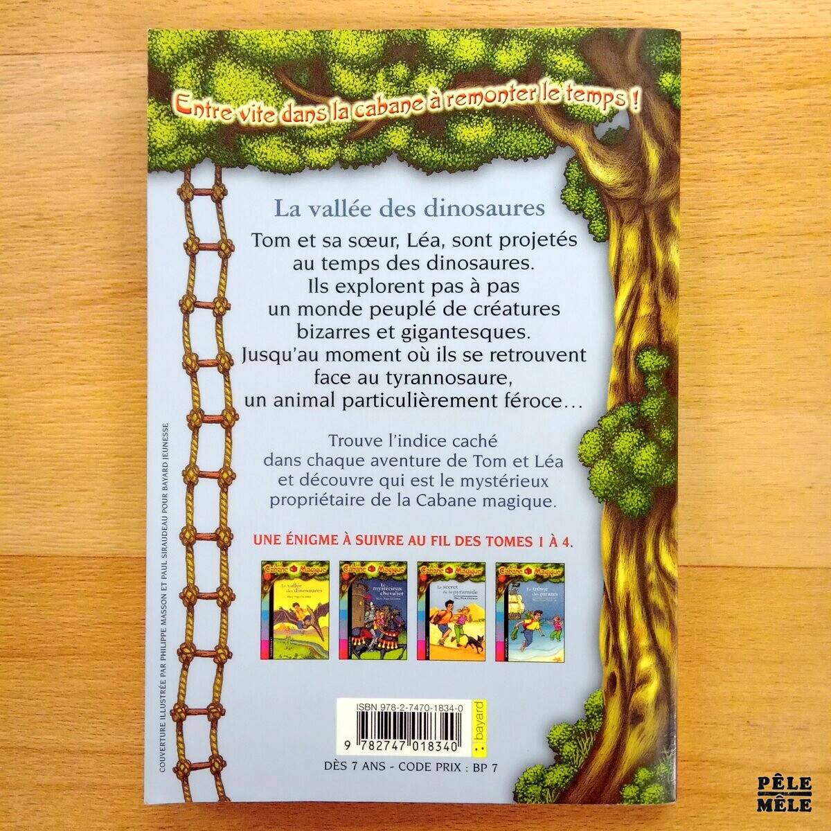 "La cabane magique : la vallée des dinosaures" - Mary Pope Osborne ...
