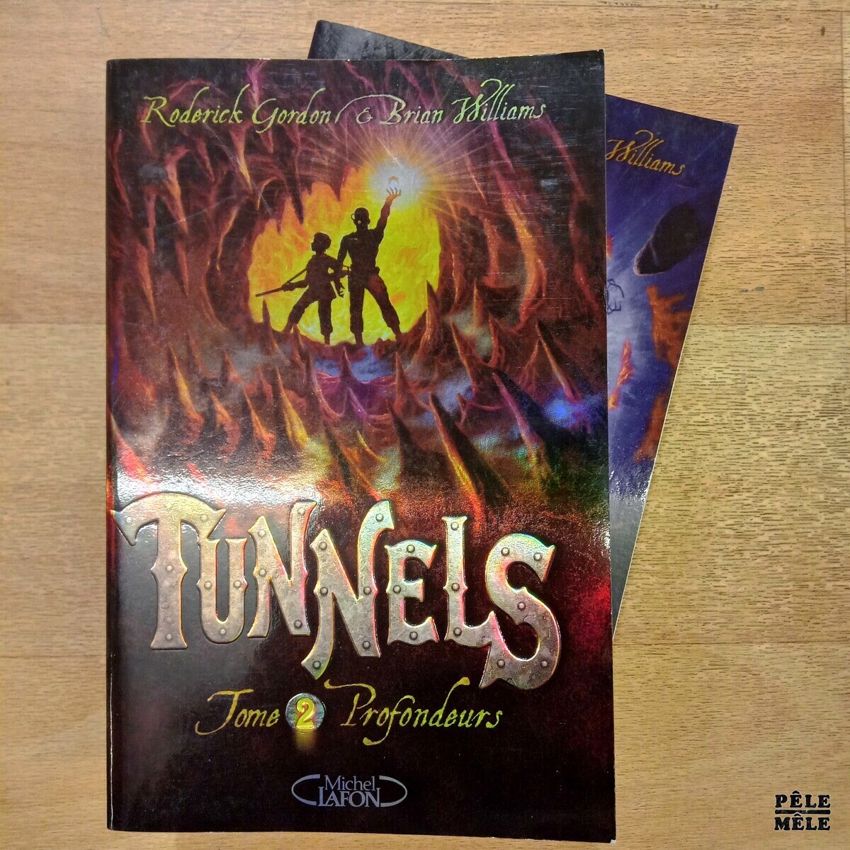 "Tunnels, tomes 1 à 3" - Roderick Gordon & Brian Williams (Michel Lafon ...