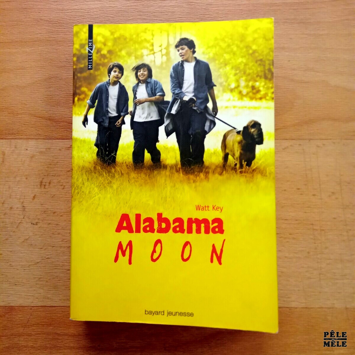 "Alabama Moon" - Watt Key (bayard jeunesse) - Pêle-Mêle Online
