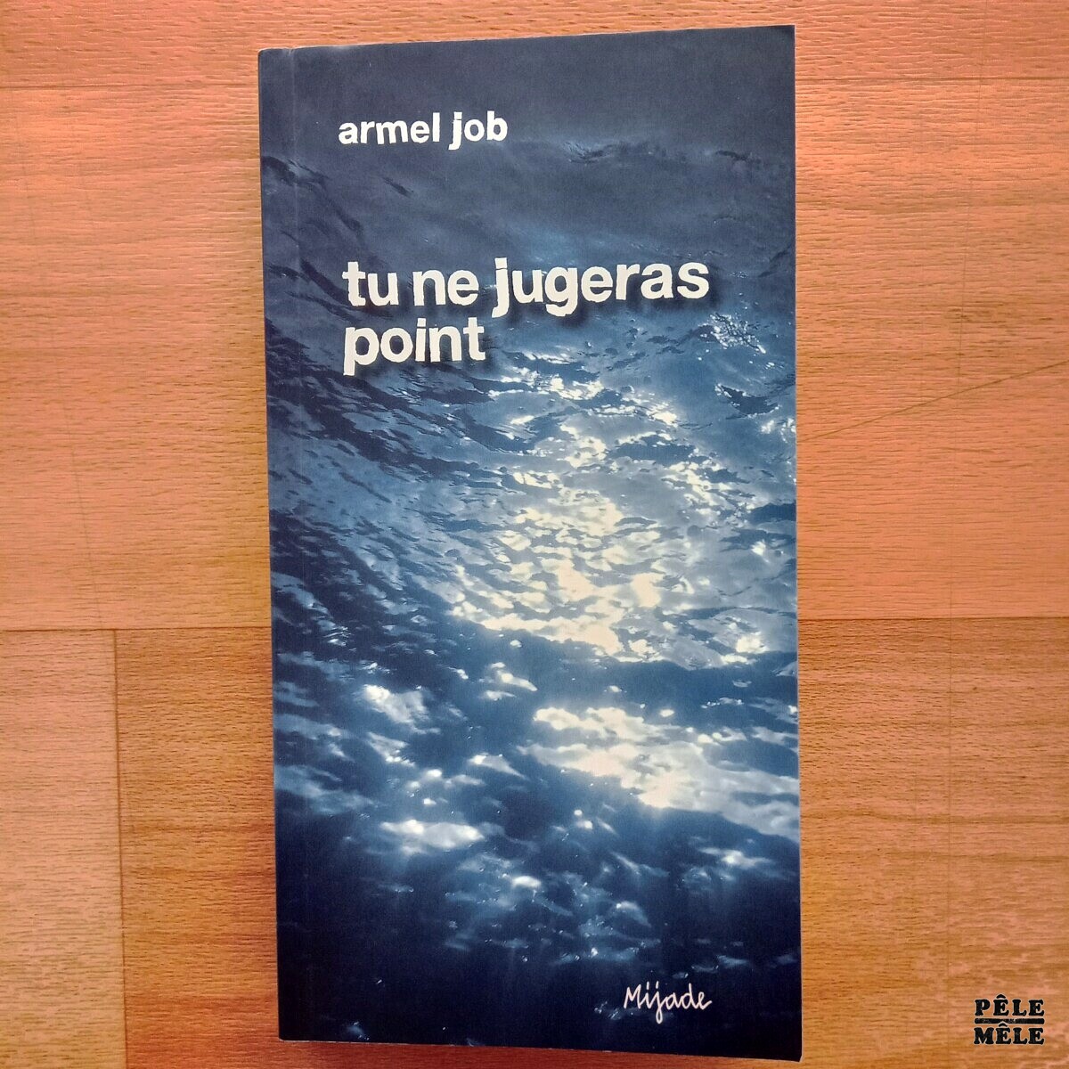 "Tu ne jugeras point" - Armel Job (Mijade) - Pêle-Mêle Online