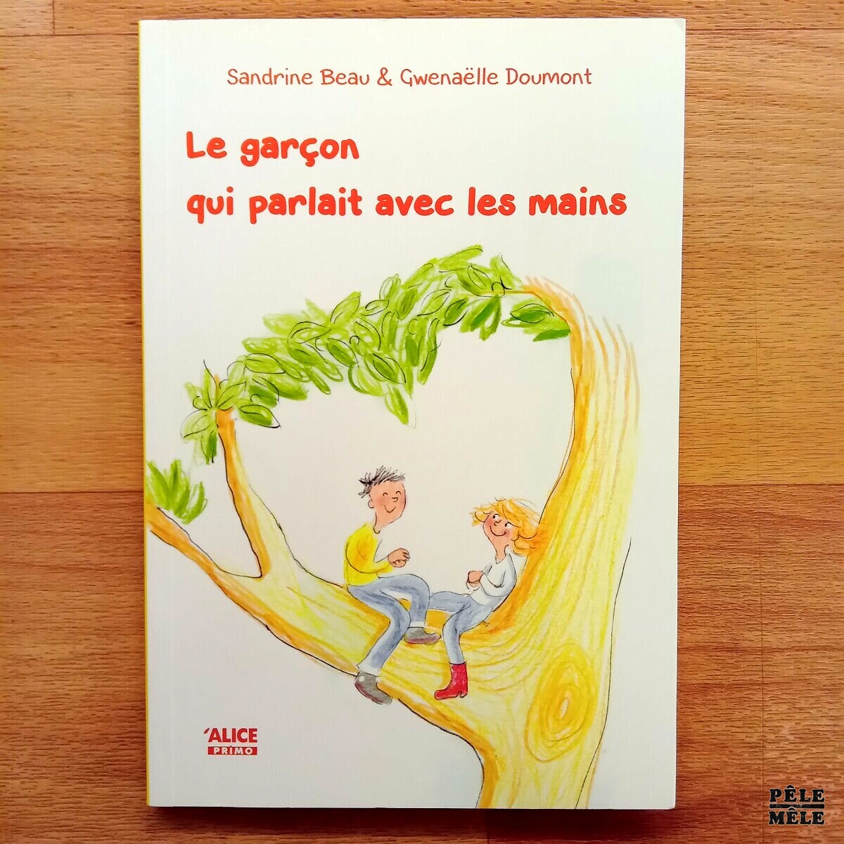 "Le garçon qui parlait avec les mains" - Sandrine Beau & Gwenaëlle ...