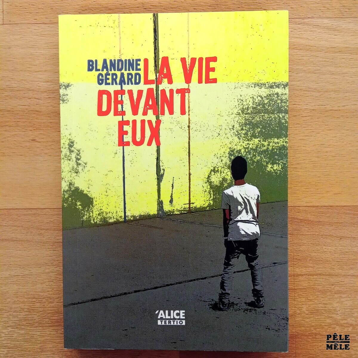 "La vie devant eux" - Blandine Gérard (Alice Jeunesse) - Pêle-Mêle Online