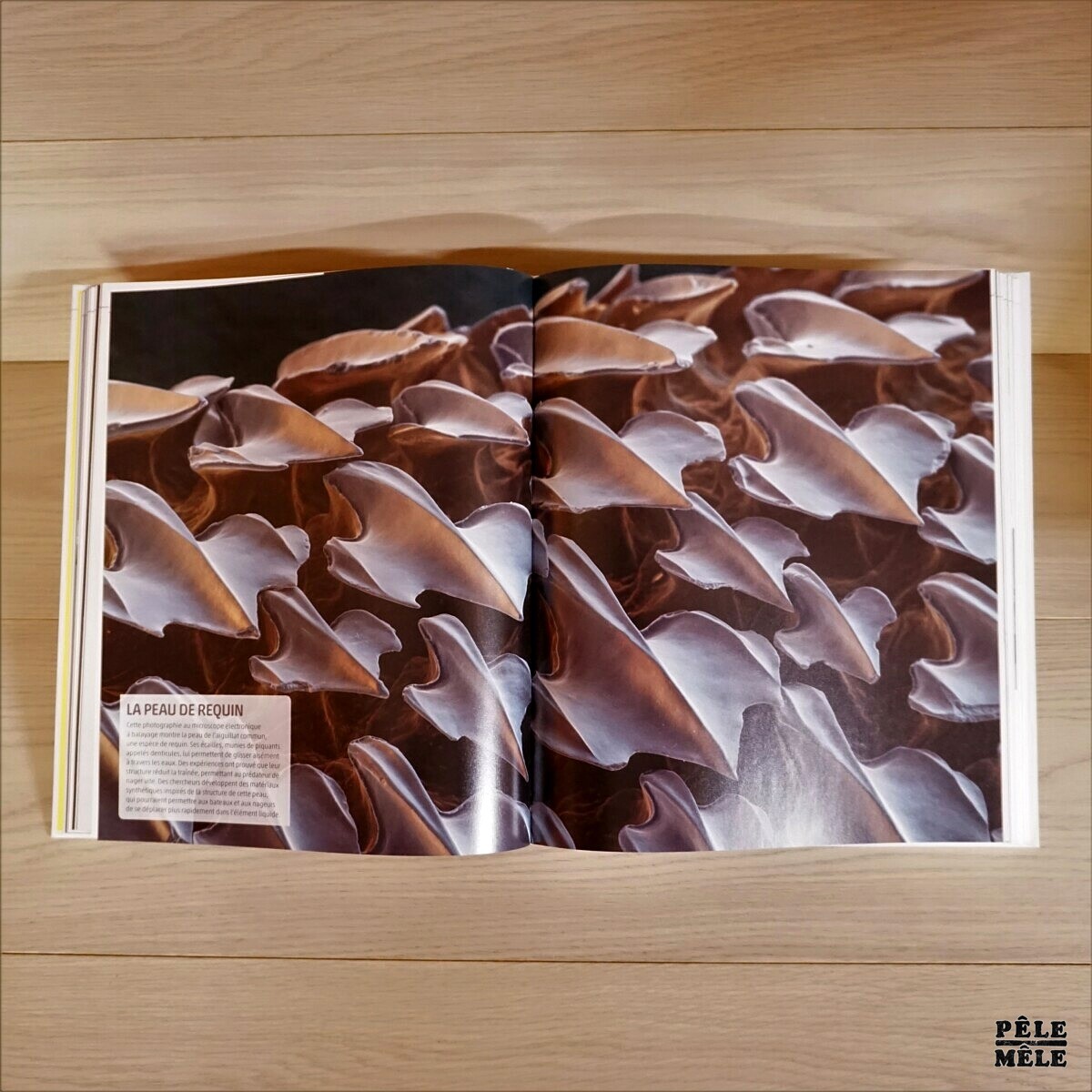 La grande encyclopédie visuelle des sciences - Derek Harvey, Béa Perks ...