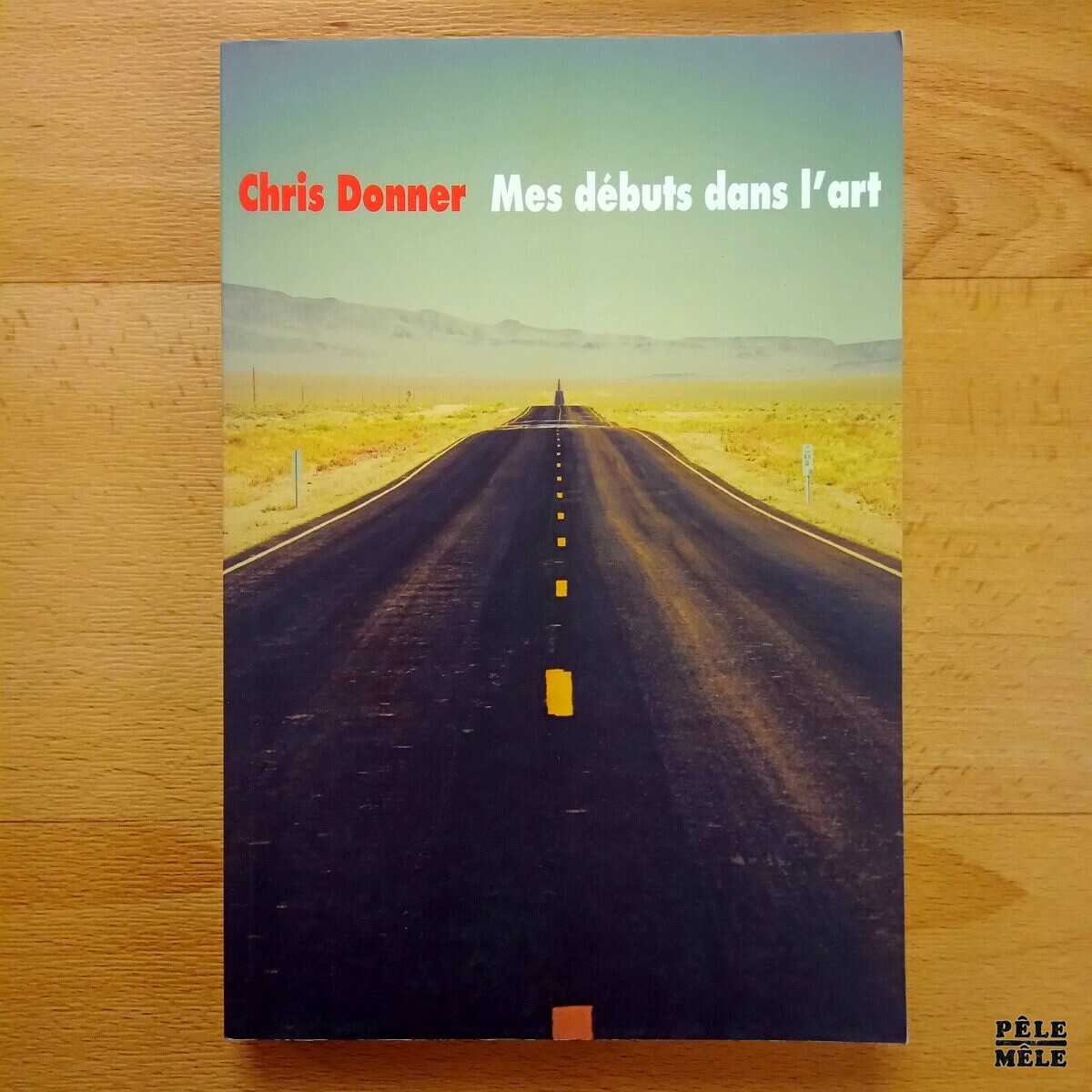 "Mes débuts dans l'art" - Chris Donner (École des loisirs) - Pêle-Mêle ...