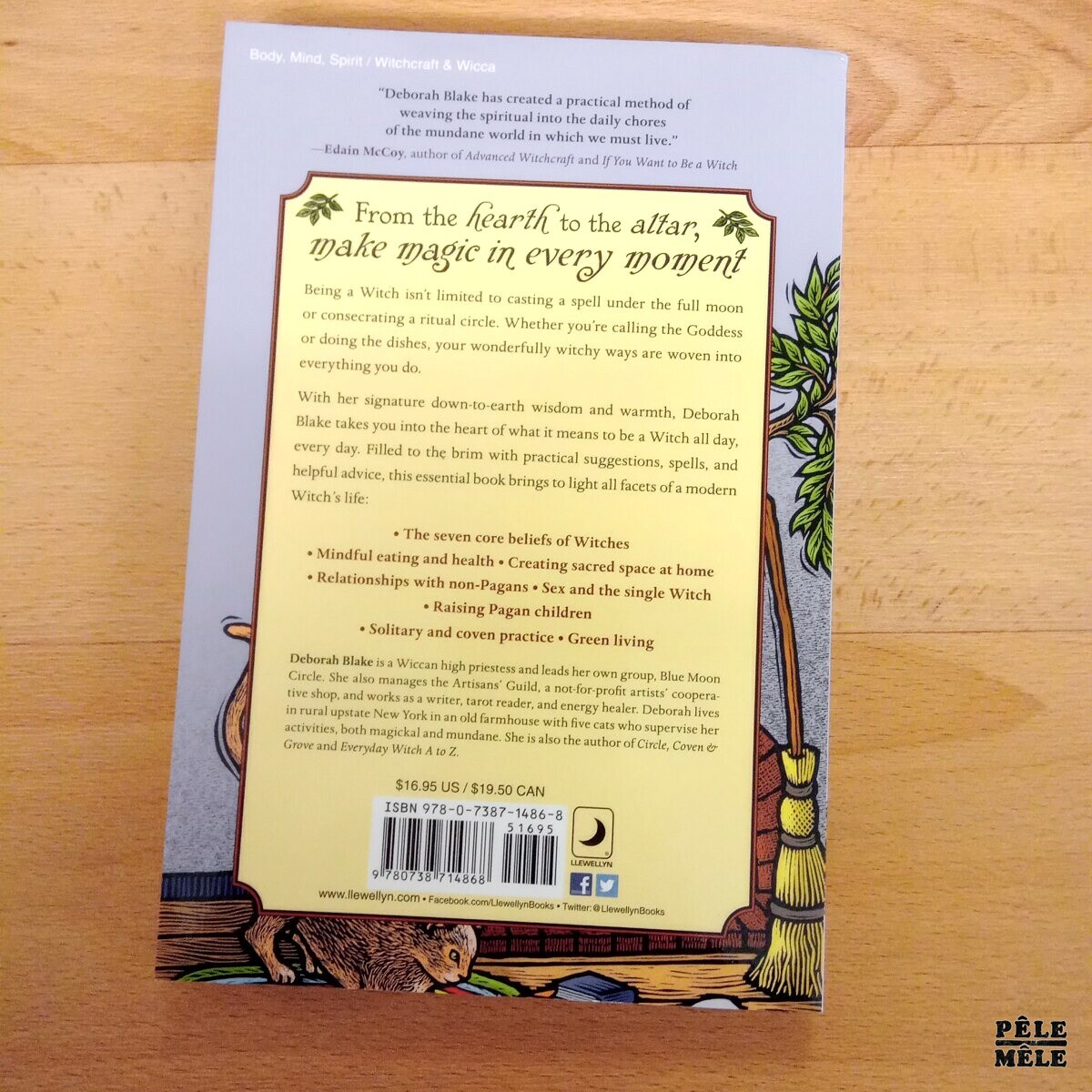 "The Godess is in the details, wisdom for the everyday witch" - Deborah ...