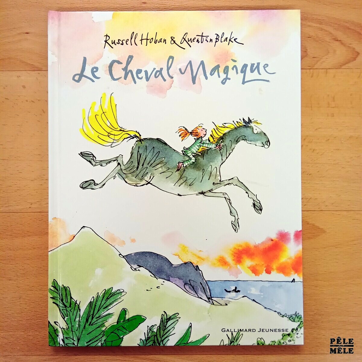"Le cheval magique" - Russel Hoban & Quentin Blake (Gallimard Jeunesse ...