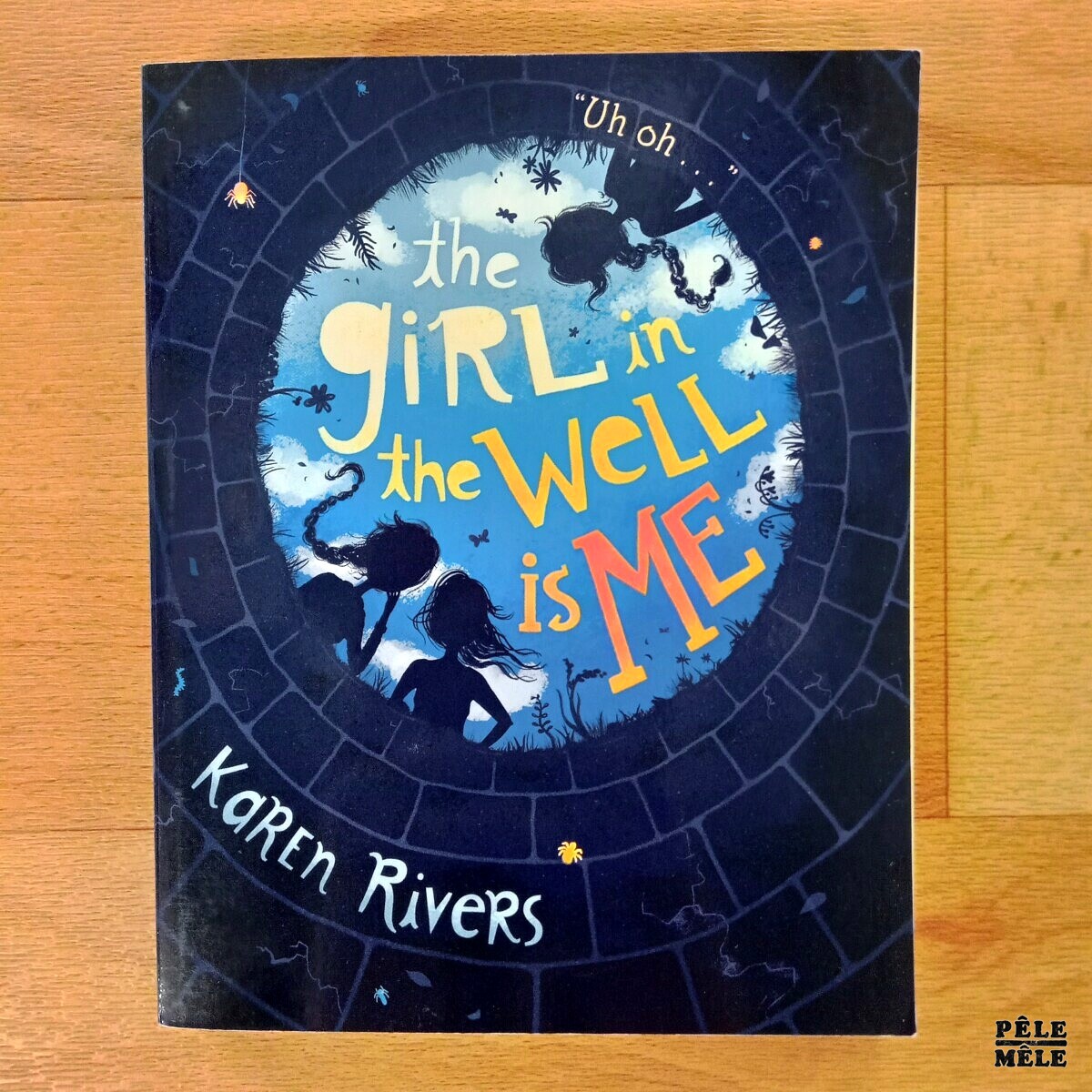 "The Girl in the Well is Me" - Karen Rivers (Algonquin Young Readers ...
