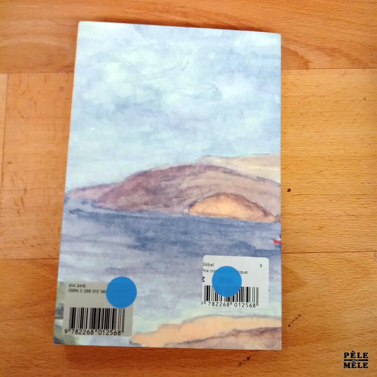 "Séjours Aufenthalte" - Martin Heidegger / Edition bilingue - Pêle-Mêle ...