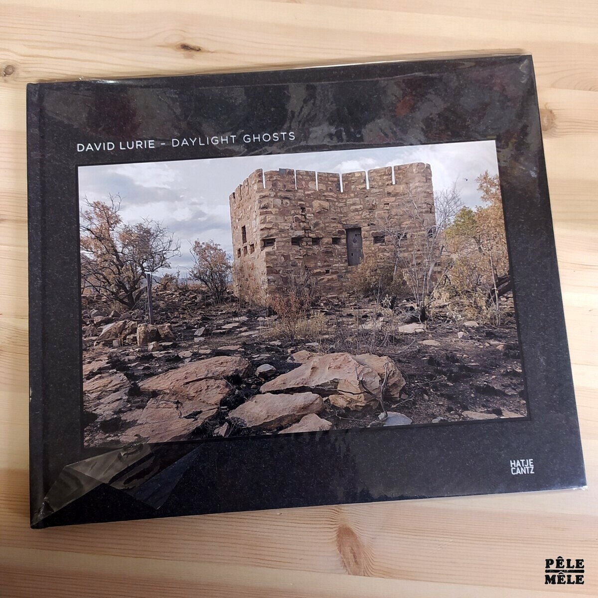"Daylight Ghosts" - David Lurie - Pêle-Mêle Online