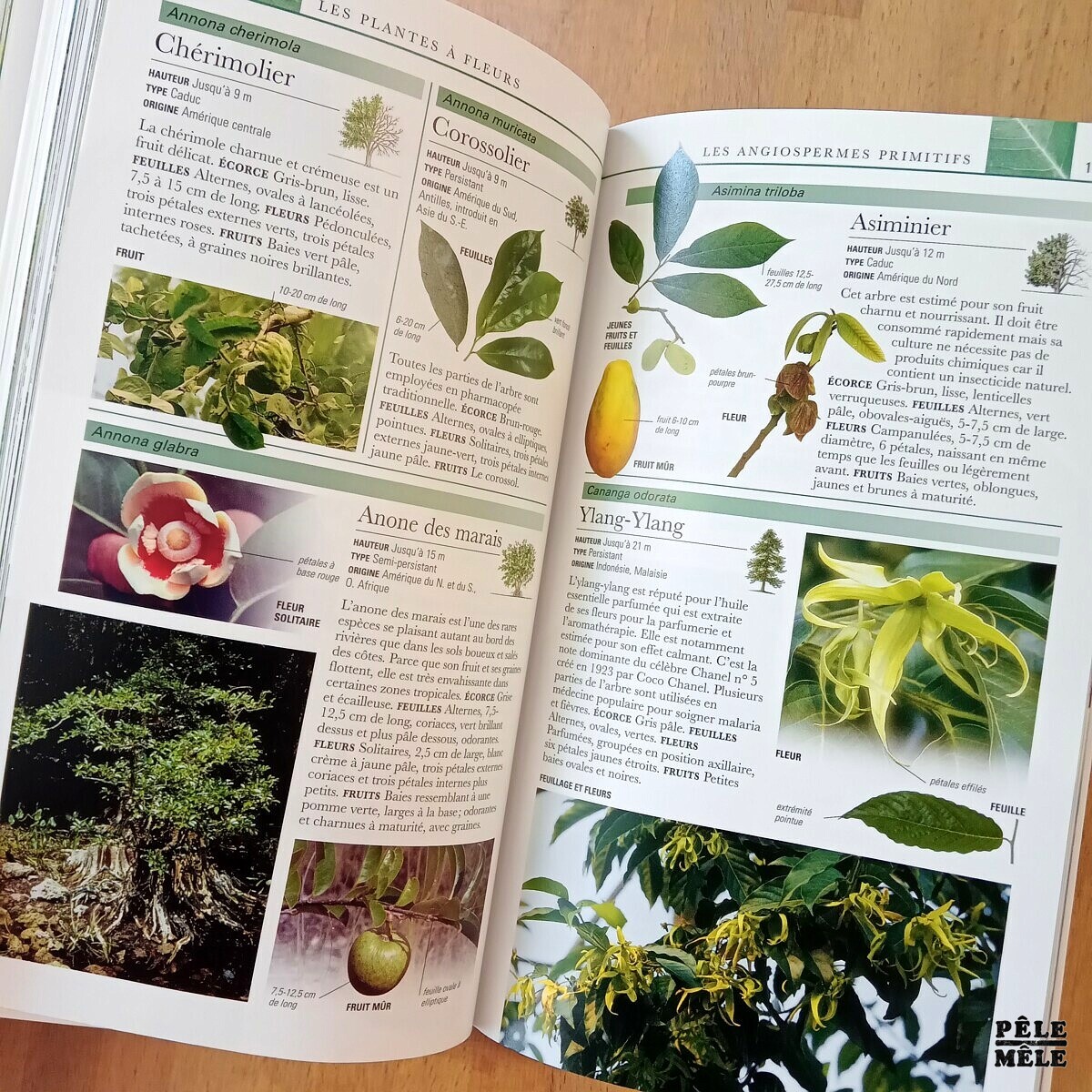 "Les Arbres" - Colin Ridsdale, John White & Carol Usher (Gründ) - Pêle ...