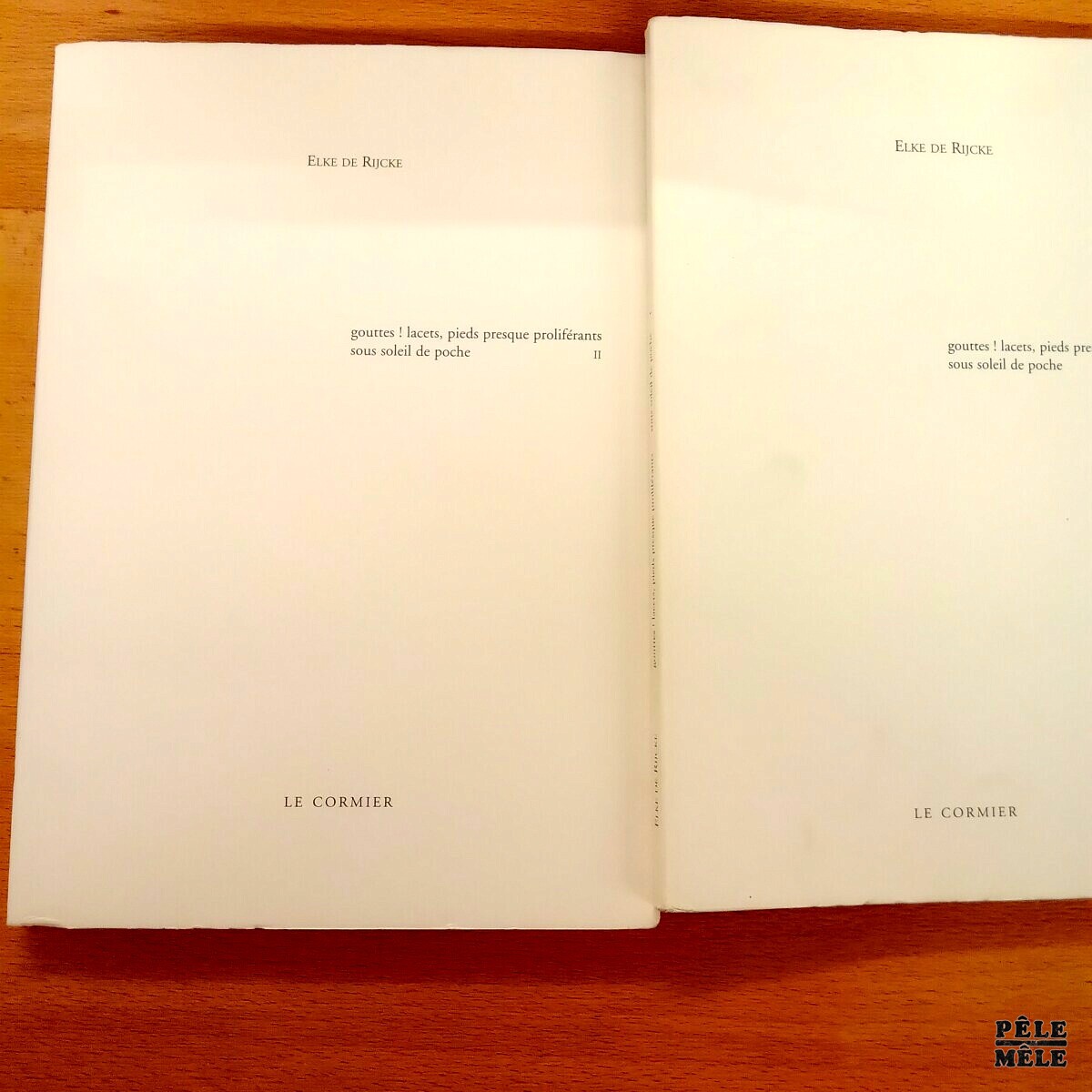 "gouttes ! lacets, pieds presque proliférants sous soleil de poche" I ...
