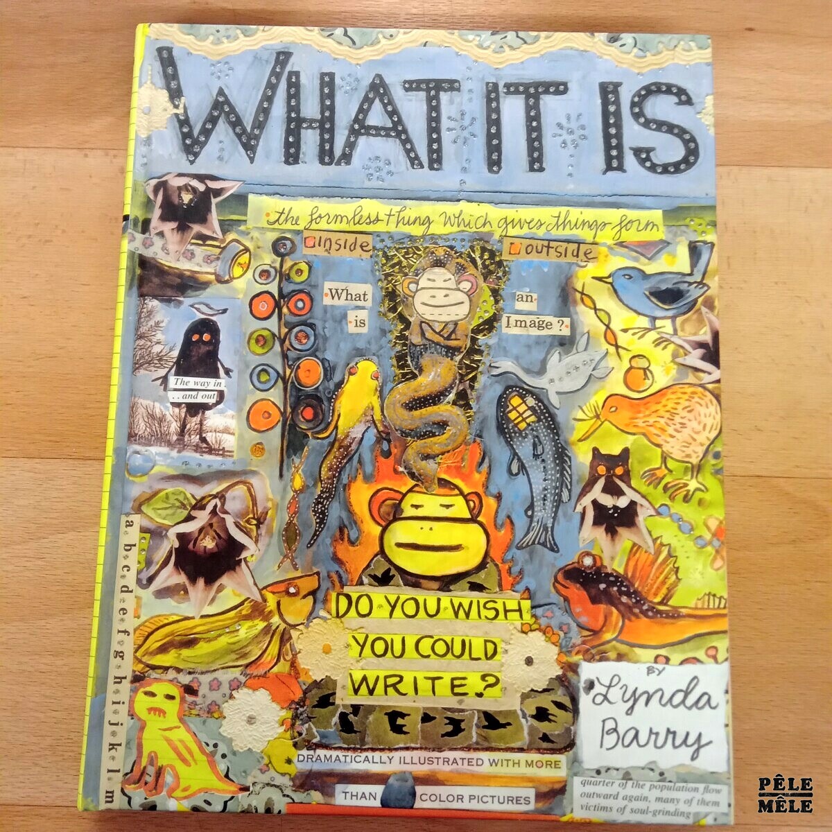 "What it is" - Lynda Barry - Pêle-Mêle Online