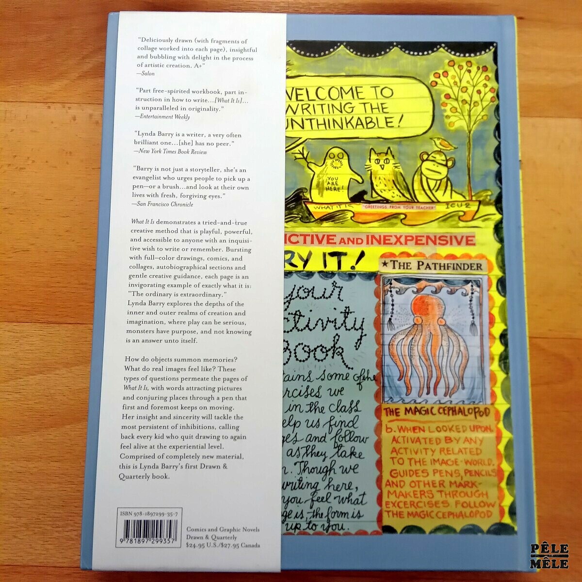 "What it is" - Lynda Barry - Pêle-Mêle Online