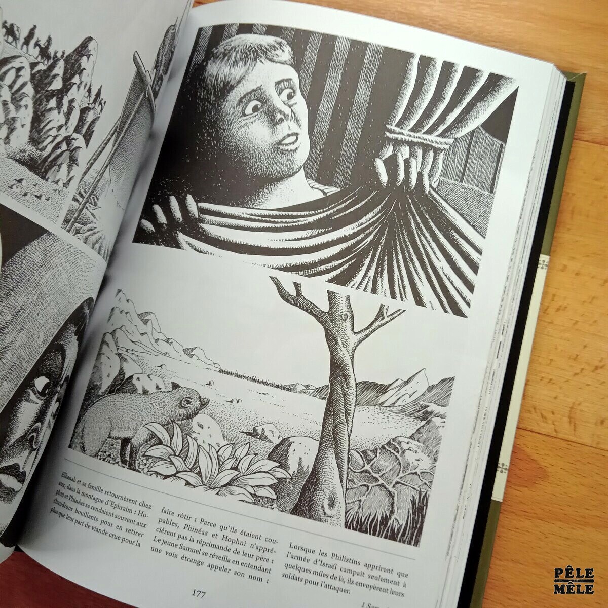 "La Bible de Wolverton, L'ancien testament et l'Apocalypse d'après ...