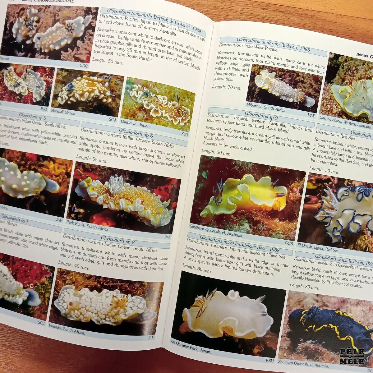 "Nudibranchs of the World" - Helmut Debelius & Rudie H. Kuiter (Ikan ...