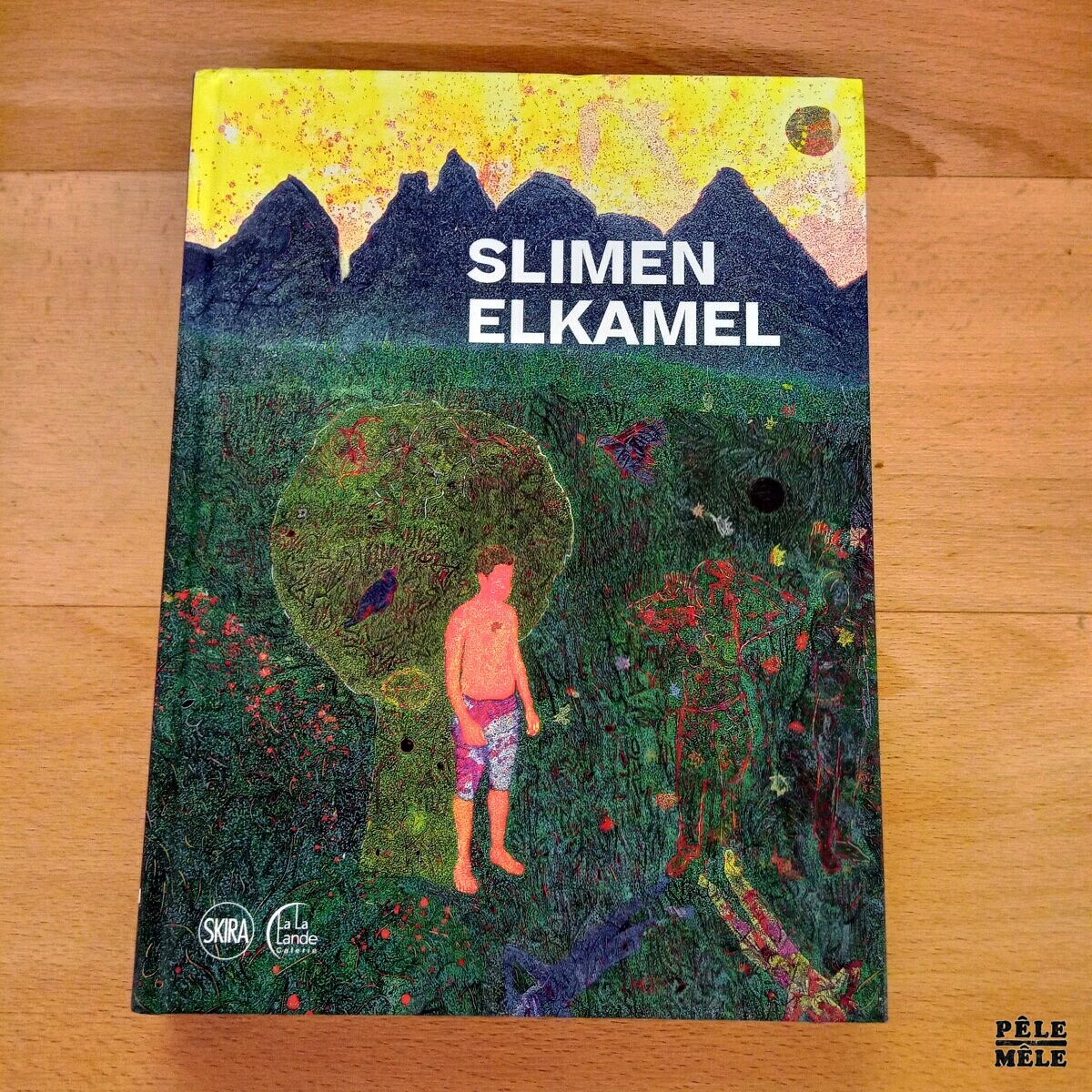 "Slimen Elkamel" - Skira / La La Lande galerie - Pêle-Mêle Online