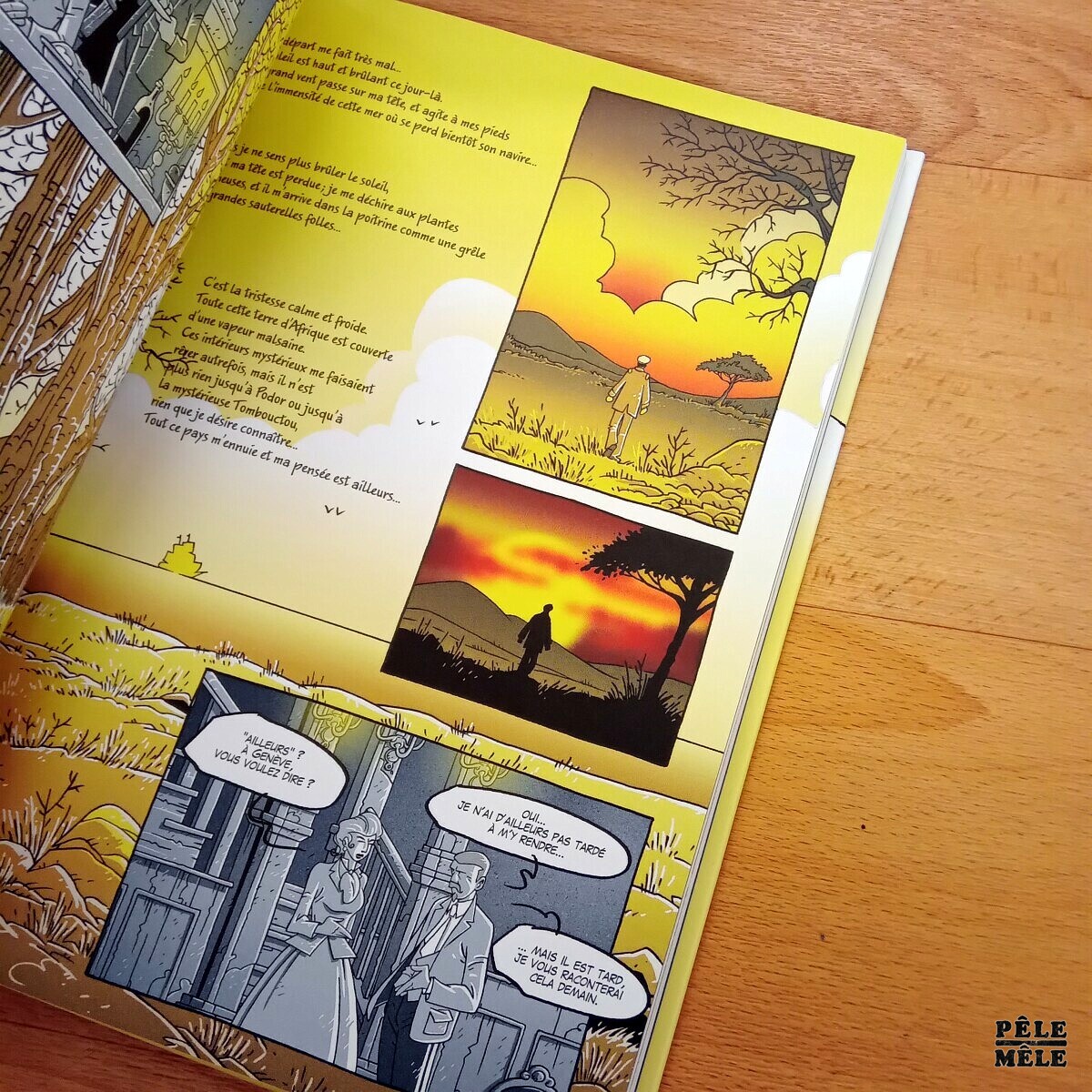 "Pierre Loti, une vie de voyageur" - Didier Quelle-Guyot / Alain Quella-Villéger / Pascal ...