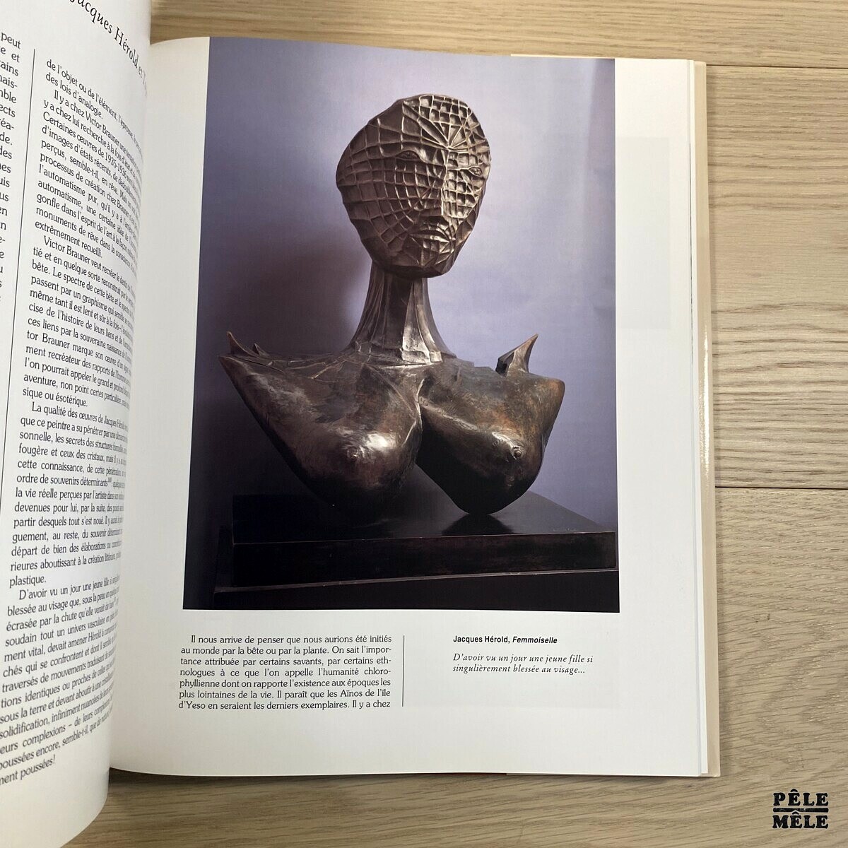 Le regard des choses - Marcel Lecomte - Pêle-Mêle Online