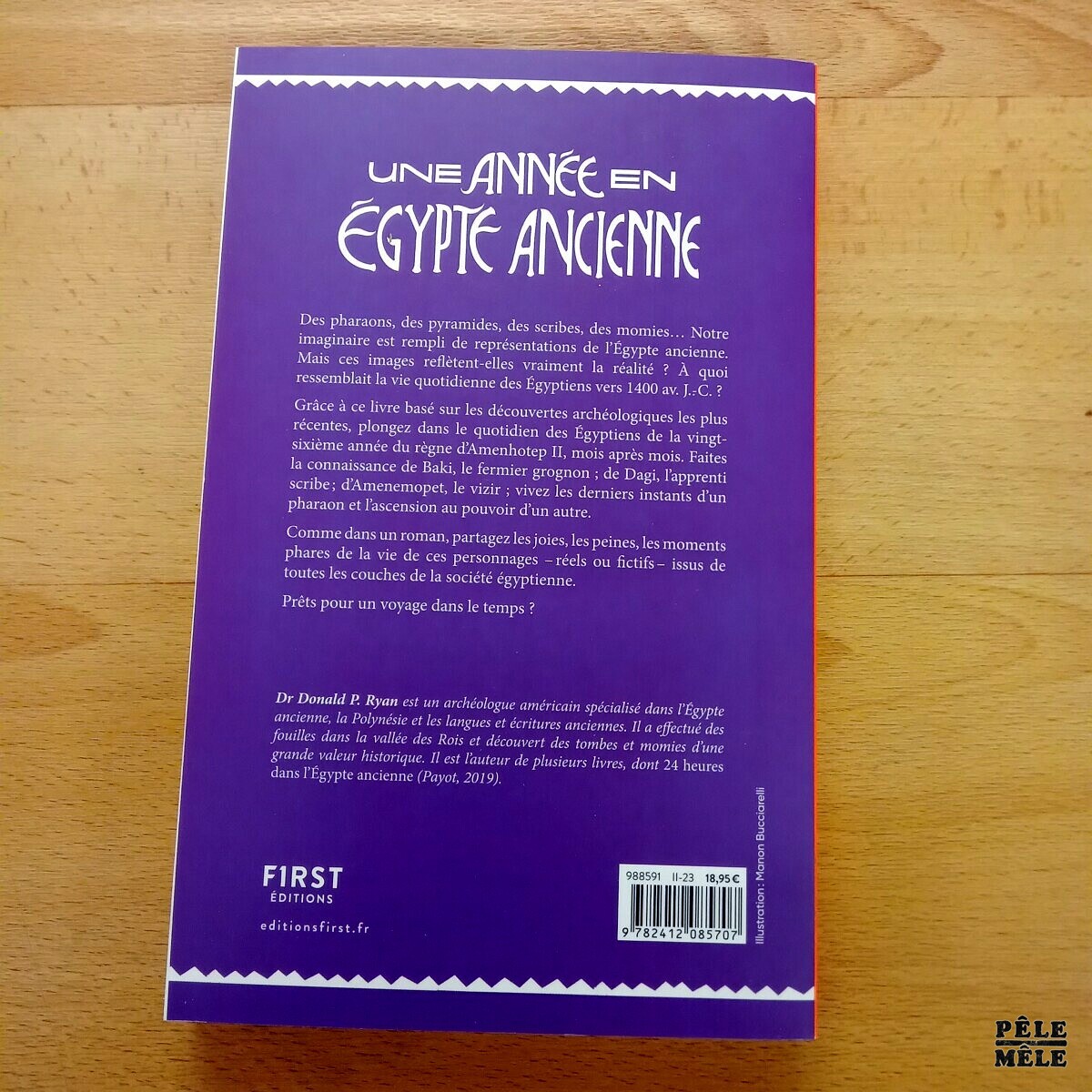 "Une année en Egypte ancienne" - Donald P. Ryan - Pêle-Mêle Online