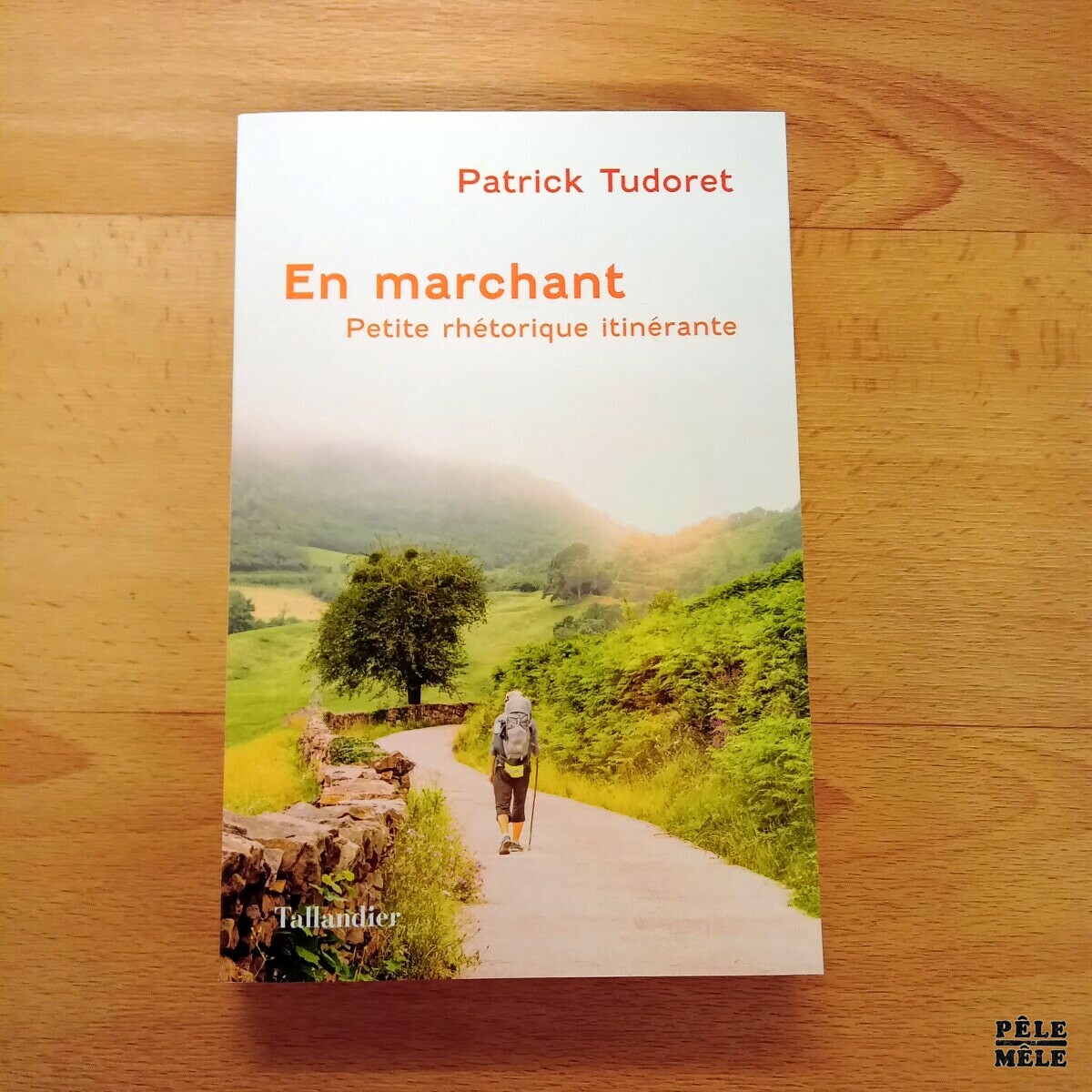 "En marchant, petite rhétorique itinérante" - Patrick Tudoret - Pêle ...