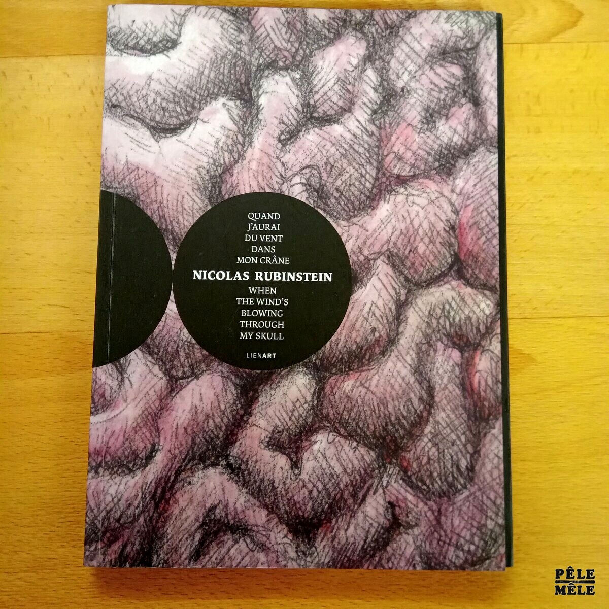 "Quand j'aurai du vent dans mon crâne" - Nicolas Rubinstein / Avec ...