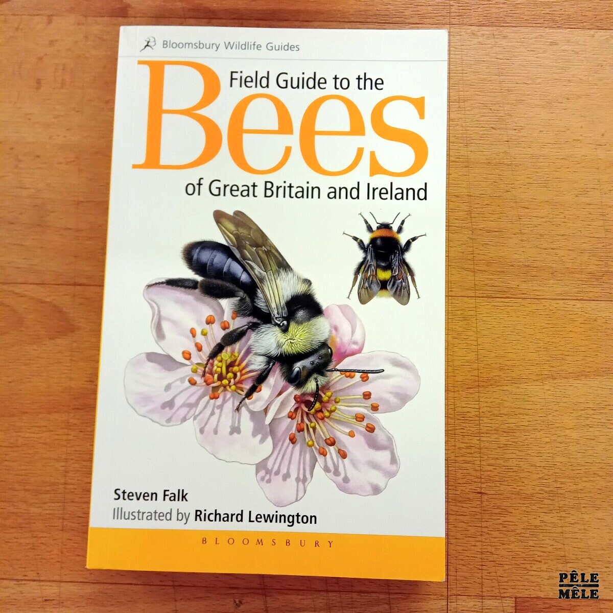 "Field guide to the Bees of Great Britain and Ireland" - Steven Falk ...