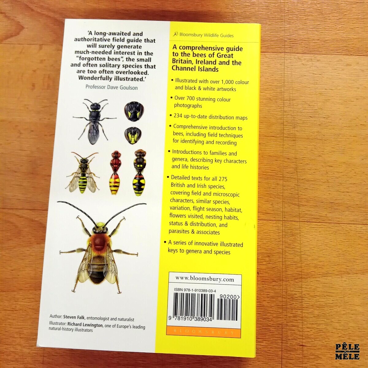 "Field guide to the Bees of Great Britain and Ireland" - Steven Falk ...