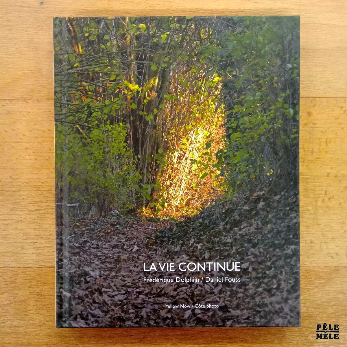 "La Vie Continue" - Frédérique Dolphijn & Daniel Fouss (Yellow Now ...